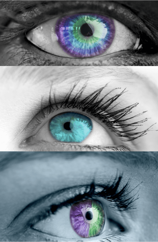 Color-Enhancing Sun Lenses - A Complete Sellers Guide (NEW)